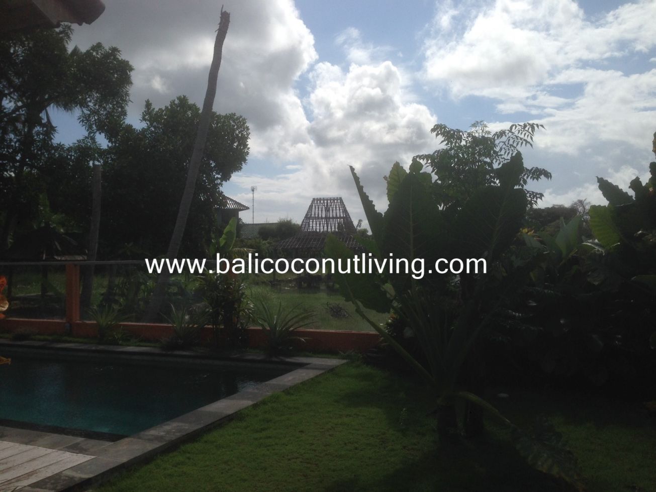Limasan House | Bali Coconut Living Property